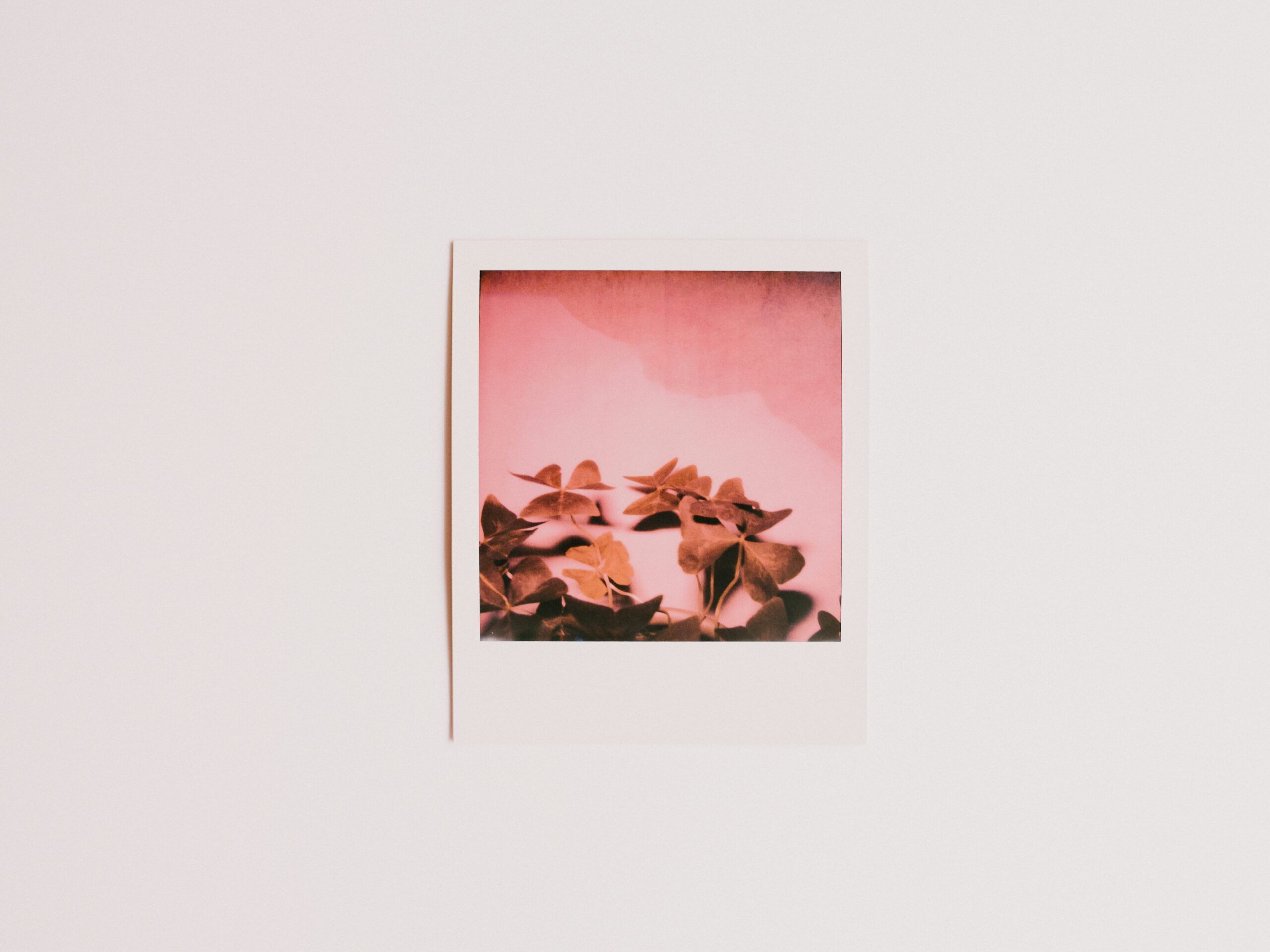 電話の声｜To people I meet someday